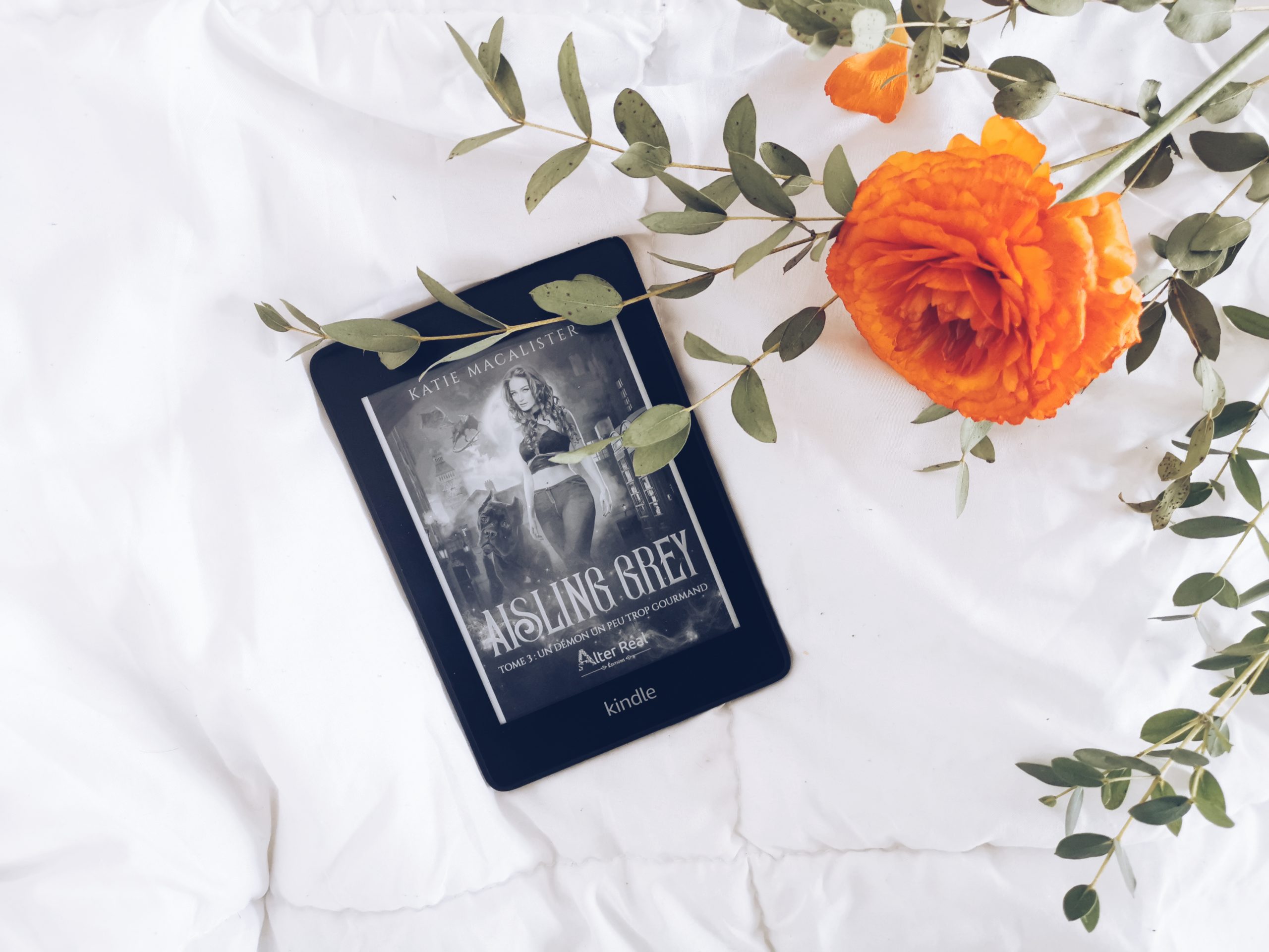 Aisling Grey : Un démon un peu trop gourmand – Katie MacAlister - Lou ...